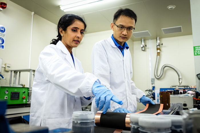 NTU Singapore Prof Madhavi Sri [IMAGE] | EurekAlert! Science News Releases