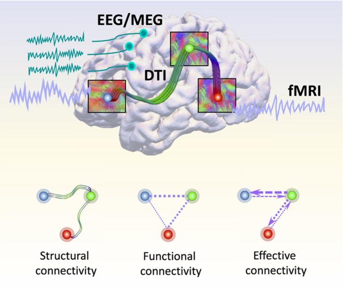 Depictions of “connections” in [IMAGE] | EurekAlert! Science News Releases