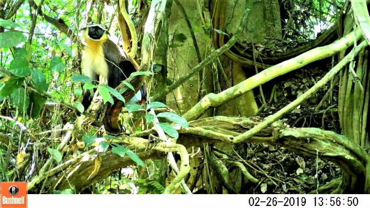 Picture Perfect [IMAGE] | EurekAlert! Science News Releases