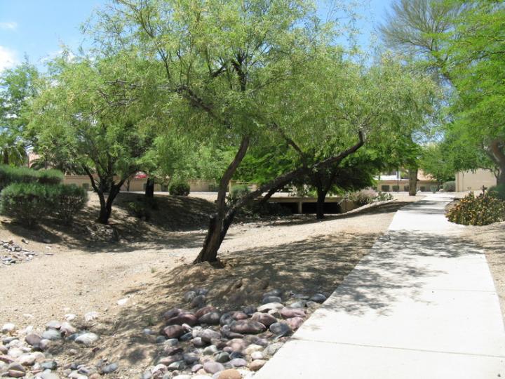 Dry Stream Bed [IMAGE] | EurekAlert! Science News Releases