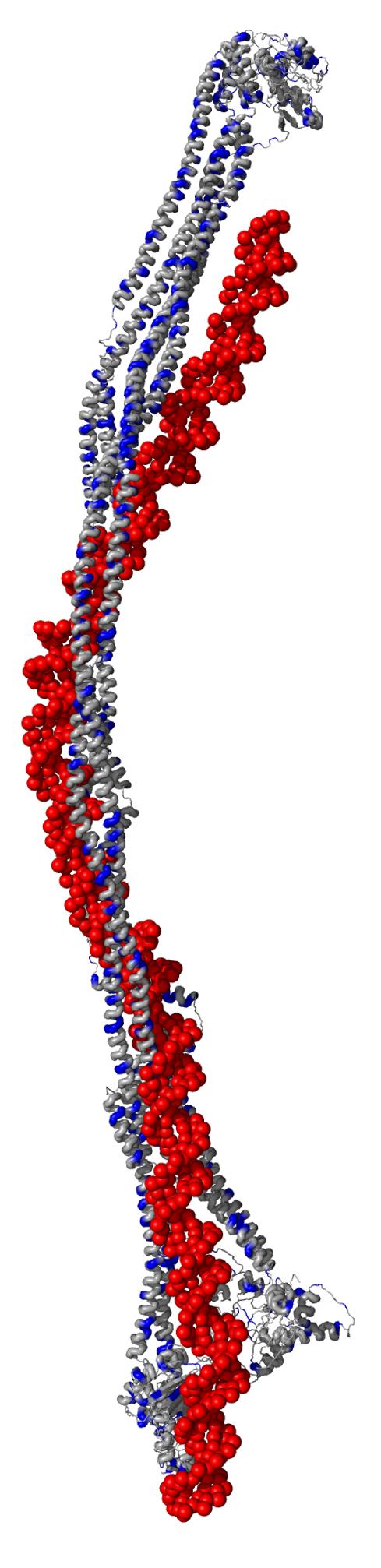 BRAIDS 2 [IMAGE] | EurekAlert! Science News Releases