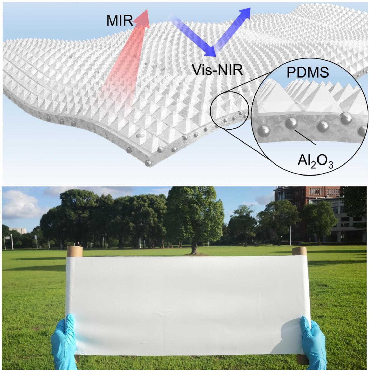 Structure [IMAGE] | EurekAlert! Science News Releases