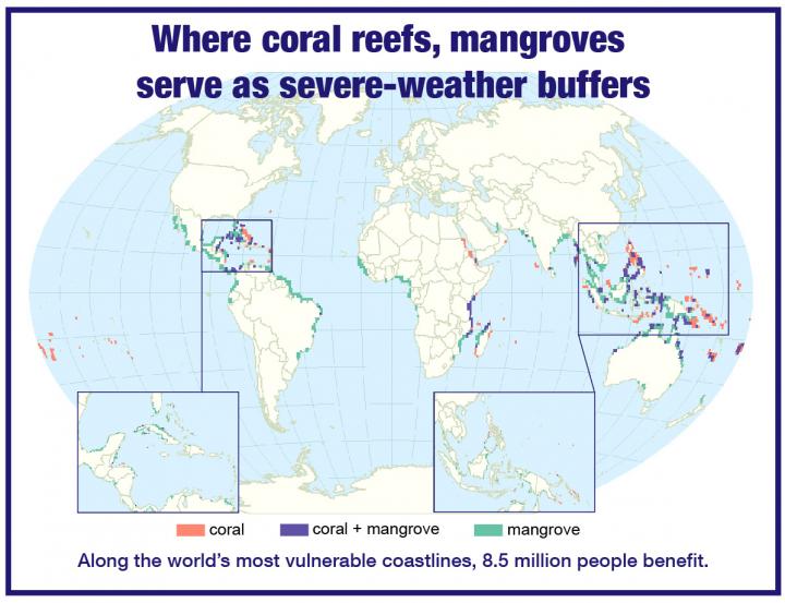Coral Reefs, Mangroves [IMAGE] | EurekAlert! Science News Releases