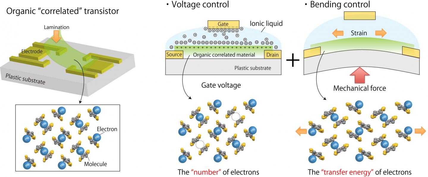Schematics of EDLT [IMAGE] | EurekAlert! Science News Releases
