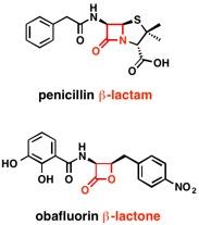 Beta-Lactams and Beta-Lactones [IMAGE] | EurekAlert! Science News Releases