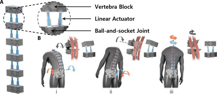 Figure 2. Multi-directional ba [IMAGE] | EurekAlert! Science News Releases