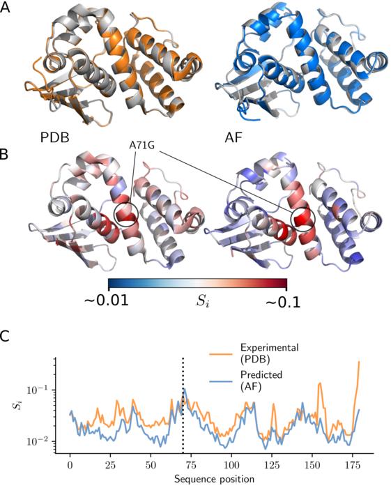 Testing the limits of AlphaFold2’s accuracy i | EurekAlert!