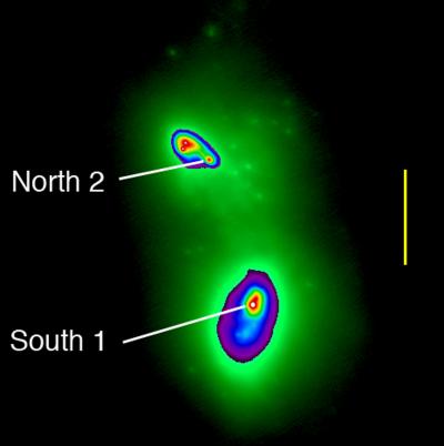 NGC 6240, 2 (of 2) [IMAGE] | EurekAlert! Science News Releases