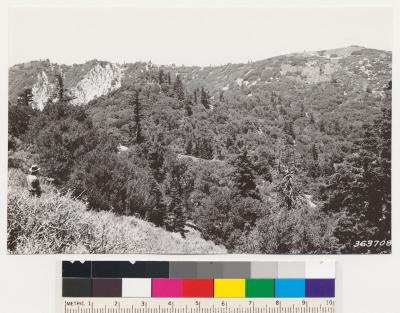 Despite Warming, California Pl [IMAGE] | EurekAlert! Science News Releases