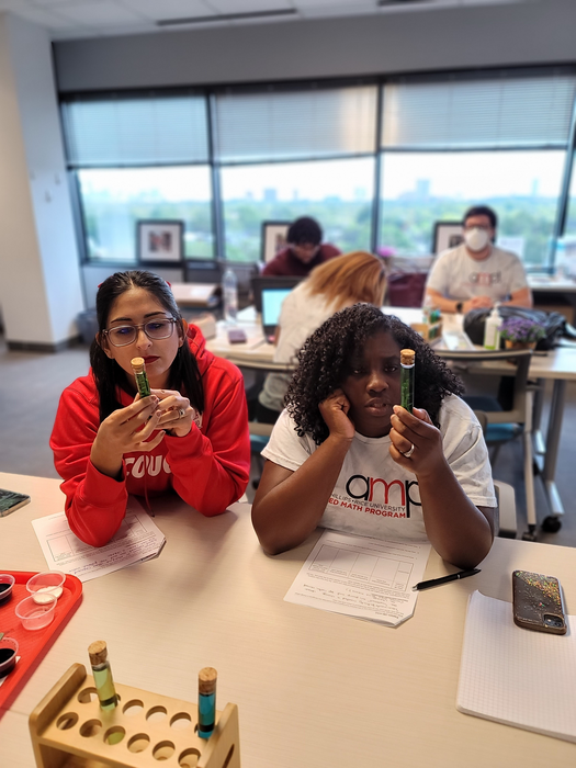 Teachers in the Rice Universit [IMAGE] | EurekAlert! Science News Releases