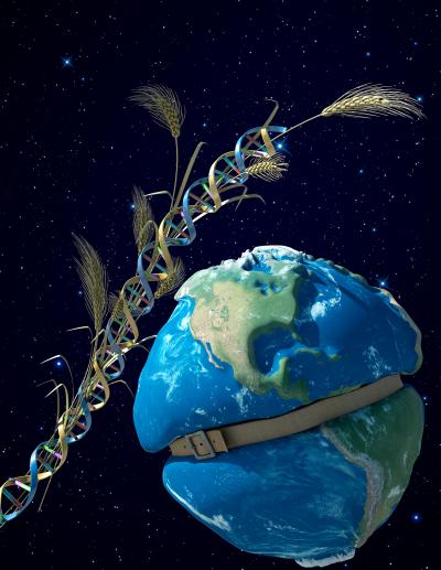 Fat Earth [IMAGE] | EurekAlert! Science News Releases