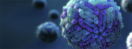 Zika Structure [IMAGE] | EurekAlert! Science News Releases