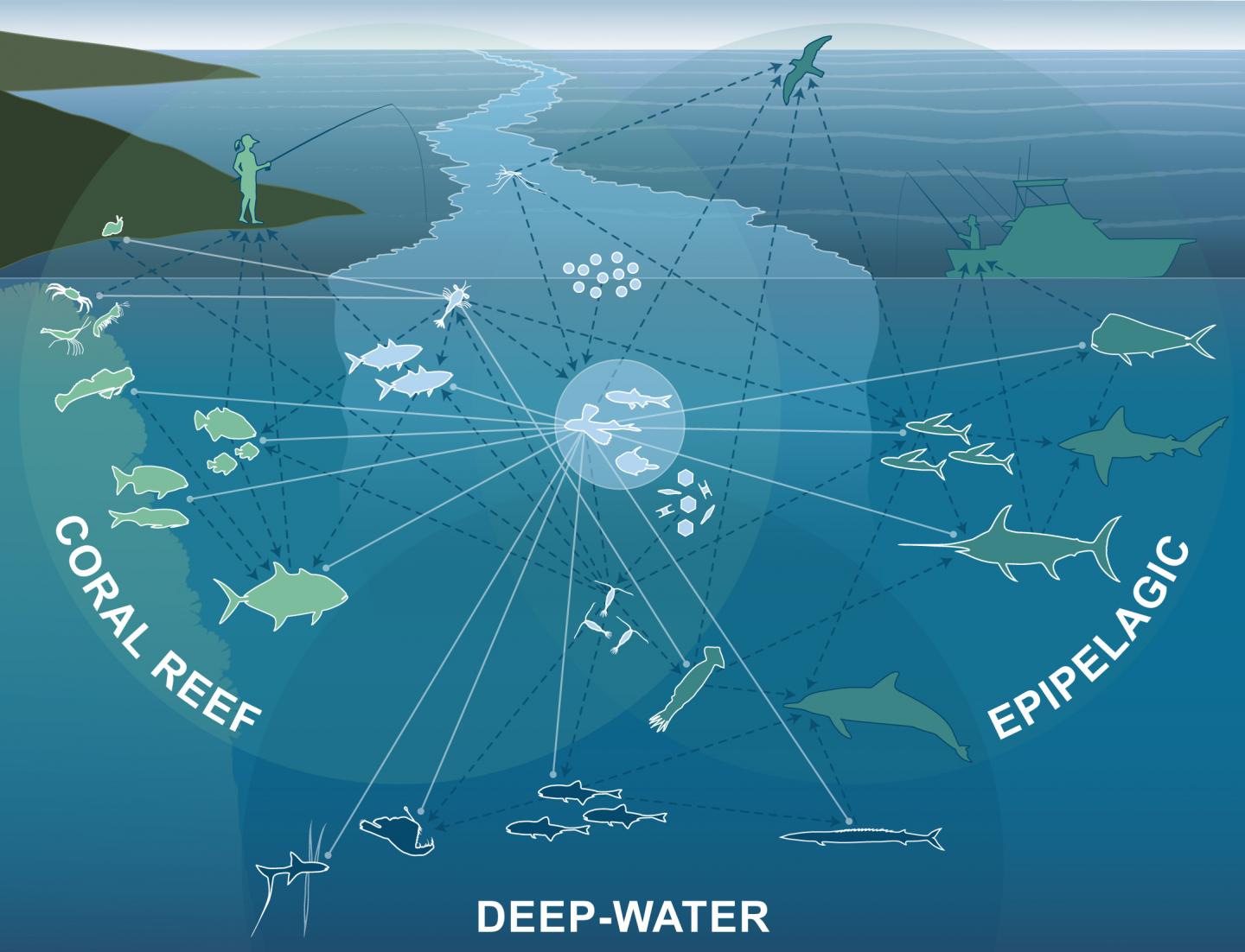 Conceptual diagram of surface [IMAGE] | EurekAlert! Science News Releases