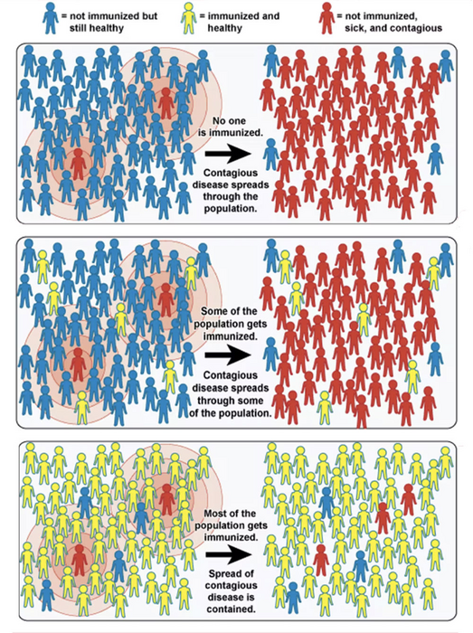 immunization graphic [IMAGE] | EurekAlert! Science News Releases