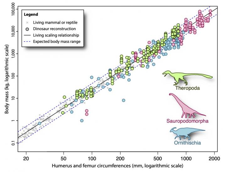 Graph of dinosaur weights [IMAGE] | EurekAlert! Science News Releases