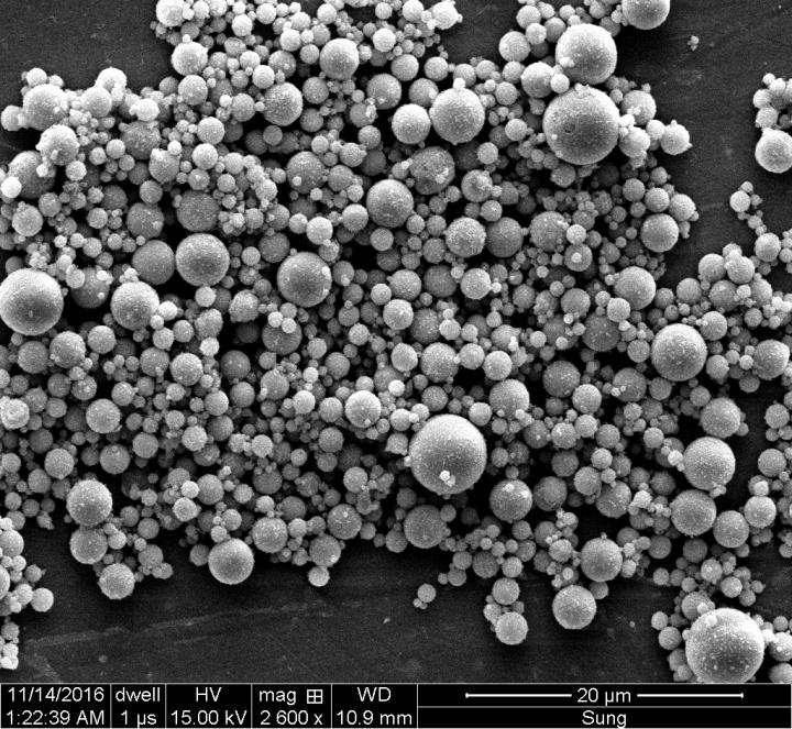 ASH 1 [IMAGE] | EurekAlert! Science News Releases