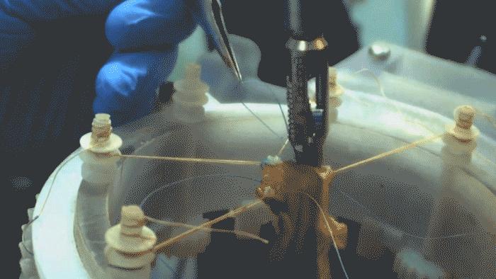 Robotic Surgery Just Got More Autonomous *fre | EurekAlert!