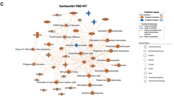 ATR inhibition using gartisertib in patient-d | EurekAlert!