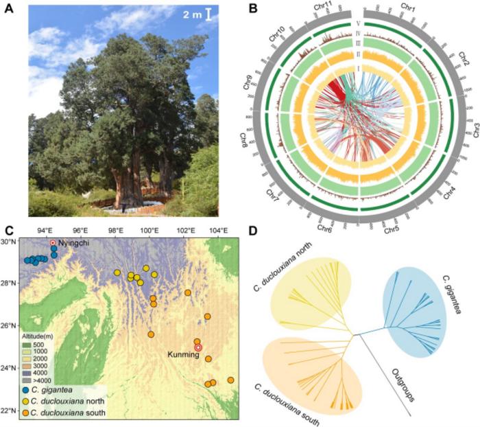 Habit, genomic landscape, geog [IMAGE] | EurekAlert! Science News Releases