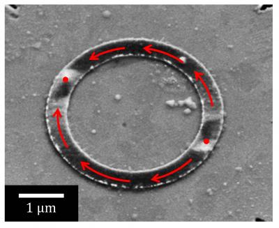 Ferromagnetic Ring [IMAGE] | EurekAlert! Science News Releases