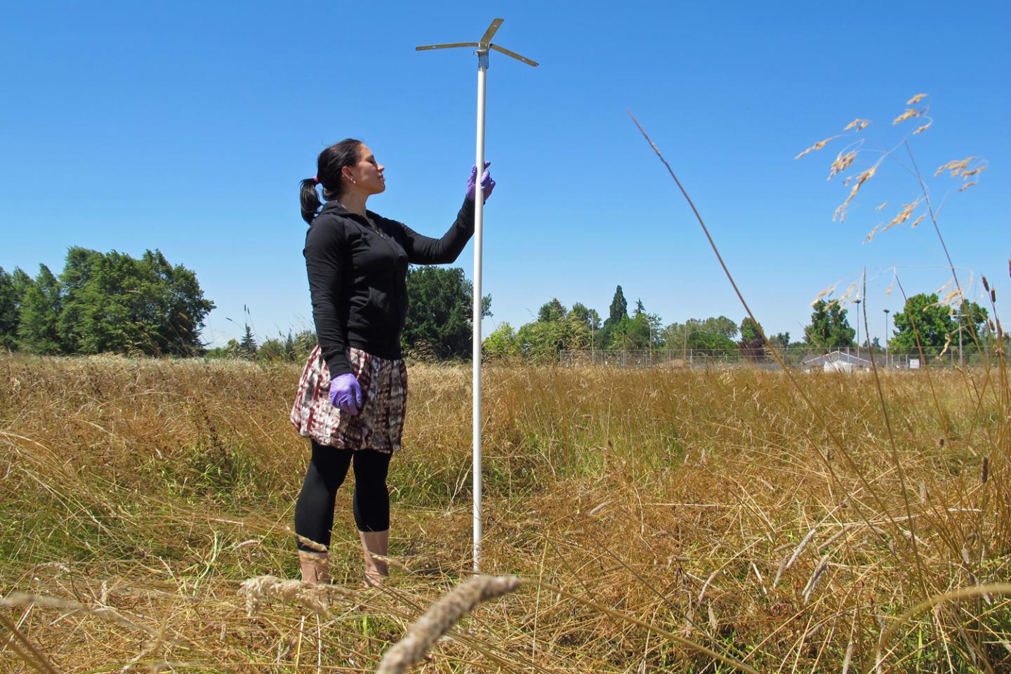 Gwynne Mhuireach, University o [IMAGE] | EurekAlert! Science News Releases