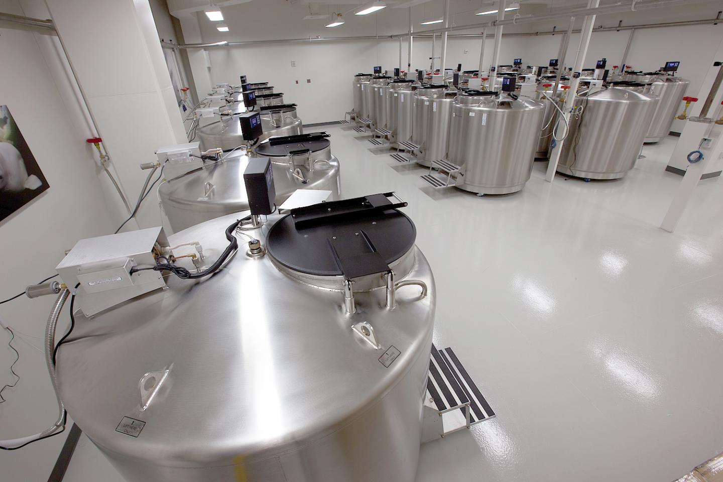 Smithsonian Biorepository [IMAGE] | EurekAlert! Science News Releases