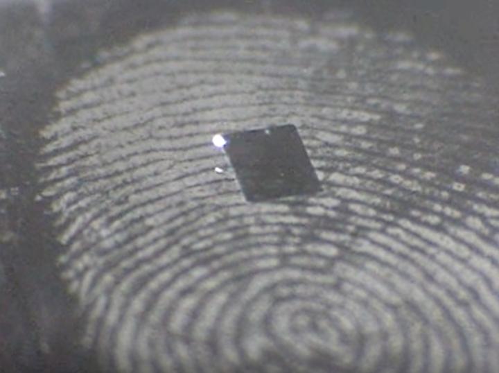 Crime Scene Fingerprint [IMAGE] | EurekAlert! Science News Releases