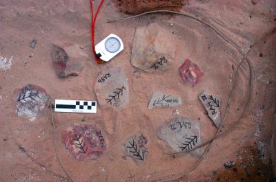 Ancient Toolmakers Harnessed Fire (6 of 7) | EurekAlert!