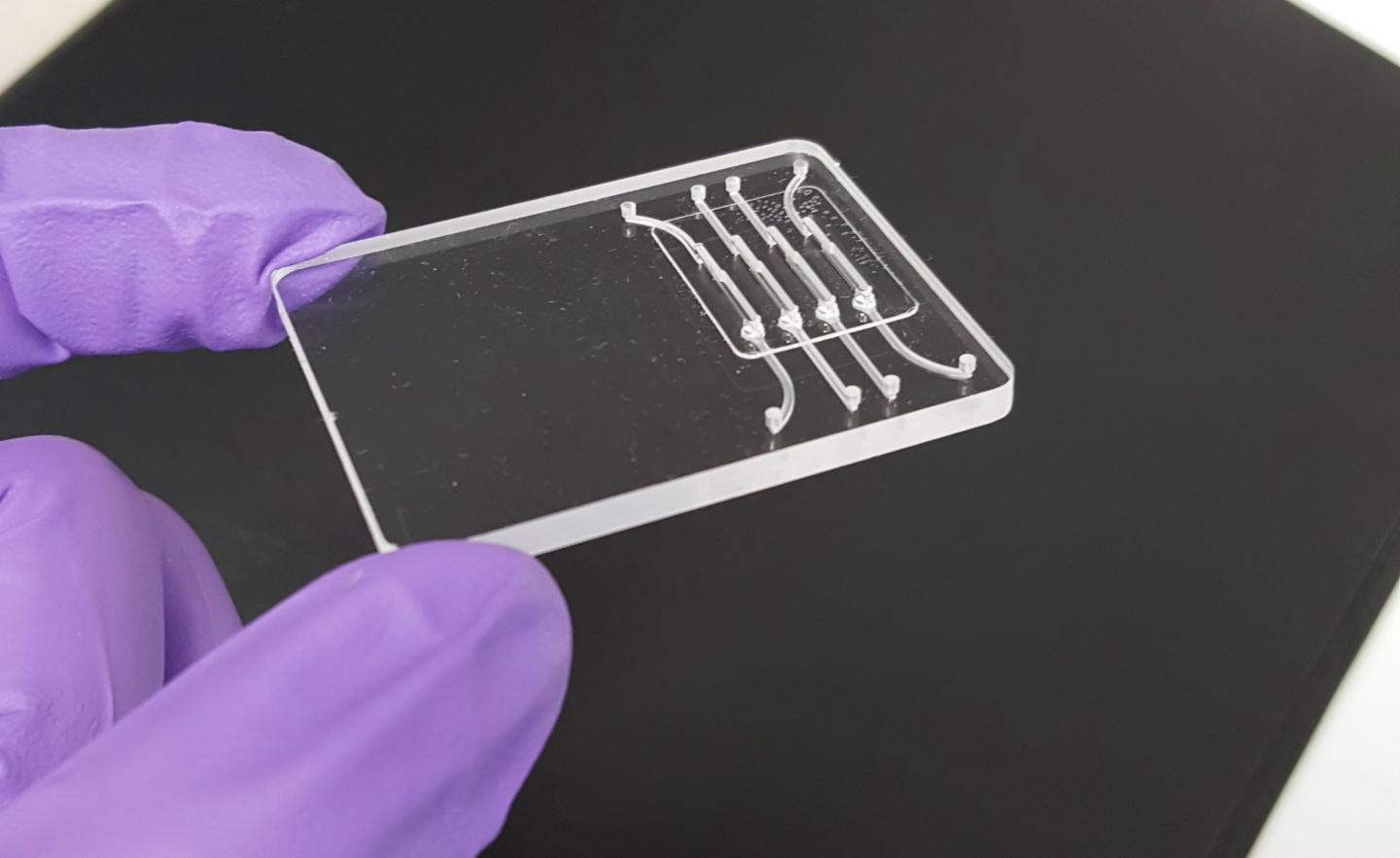 RT-LAMP Chip [IMAGE] | EurekAlert! Science News Releases