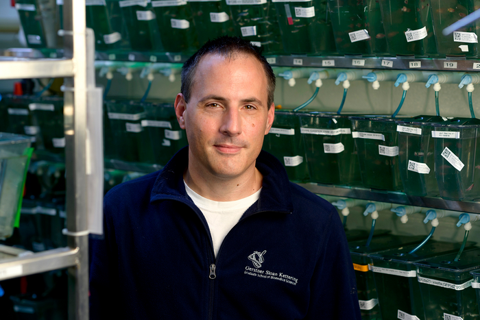 Philipp Niethammer, PhD [IMAGE] | EurekAlert! Science News Releases