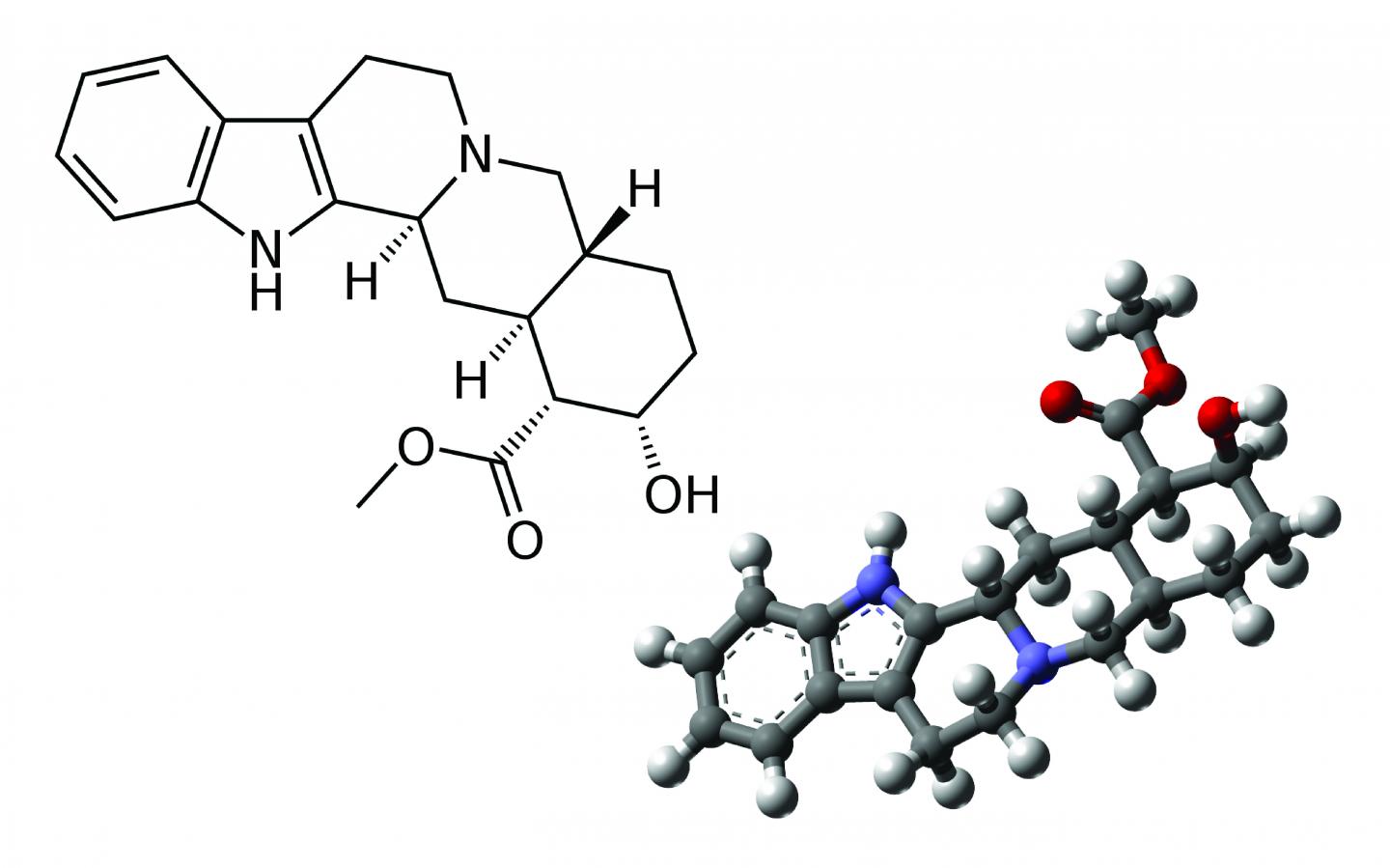 Figuring out the 3-D shape of molecules with | EurekAlert!