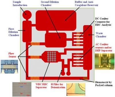 Methodology of Lab-on-a-Chip E [IMAGE] | EurekAlert! Science News Releases