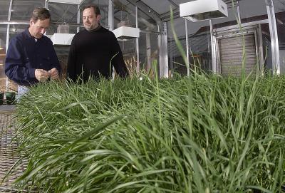 Richard Shukle and Jonathan Ne [IMAGE] | EurekAlert! Science News Releases