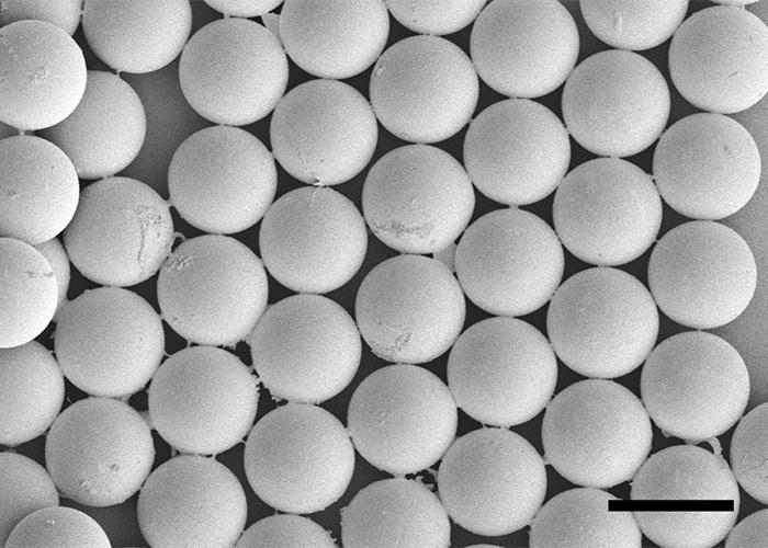 Microspheres [IMAGE] | EurekAlert! Science News Releases