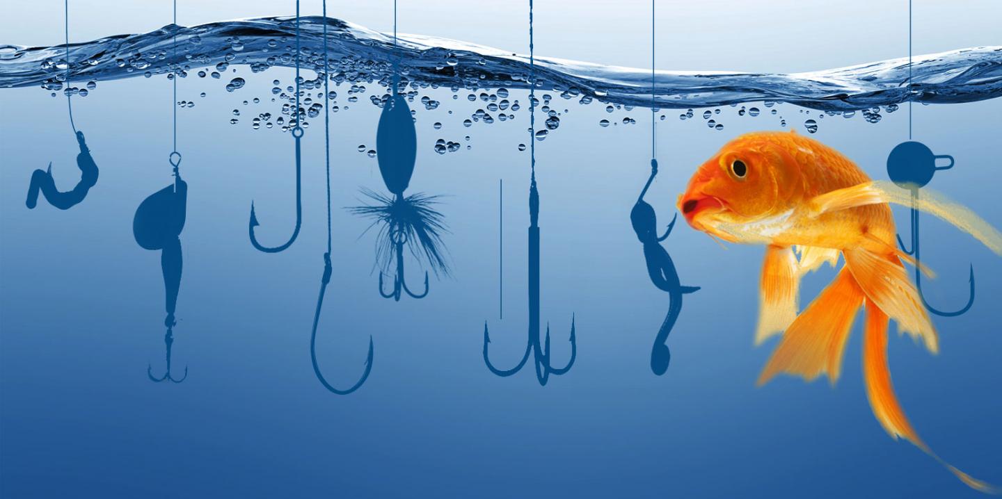 Catching the right fish | EurekAlert!