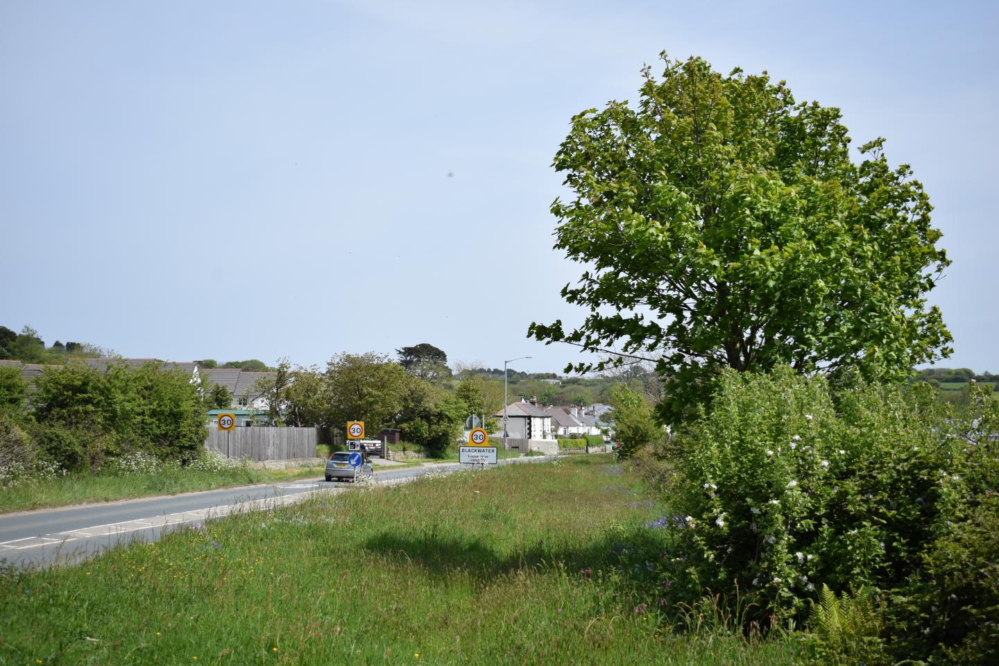 Road verge [IMAGE] | EurekAlert! Science News Releases