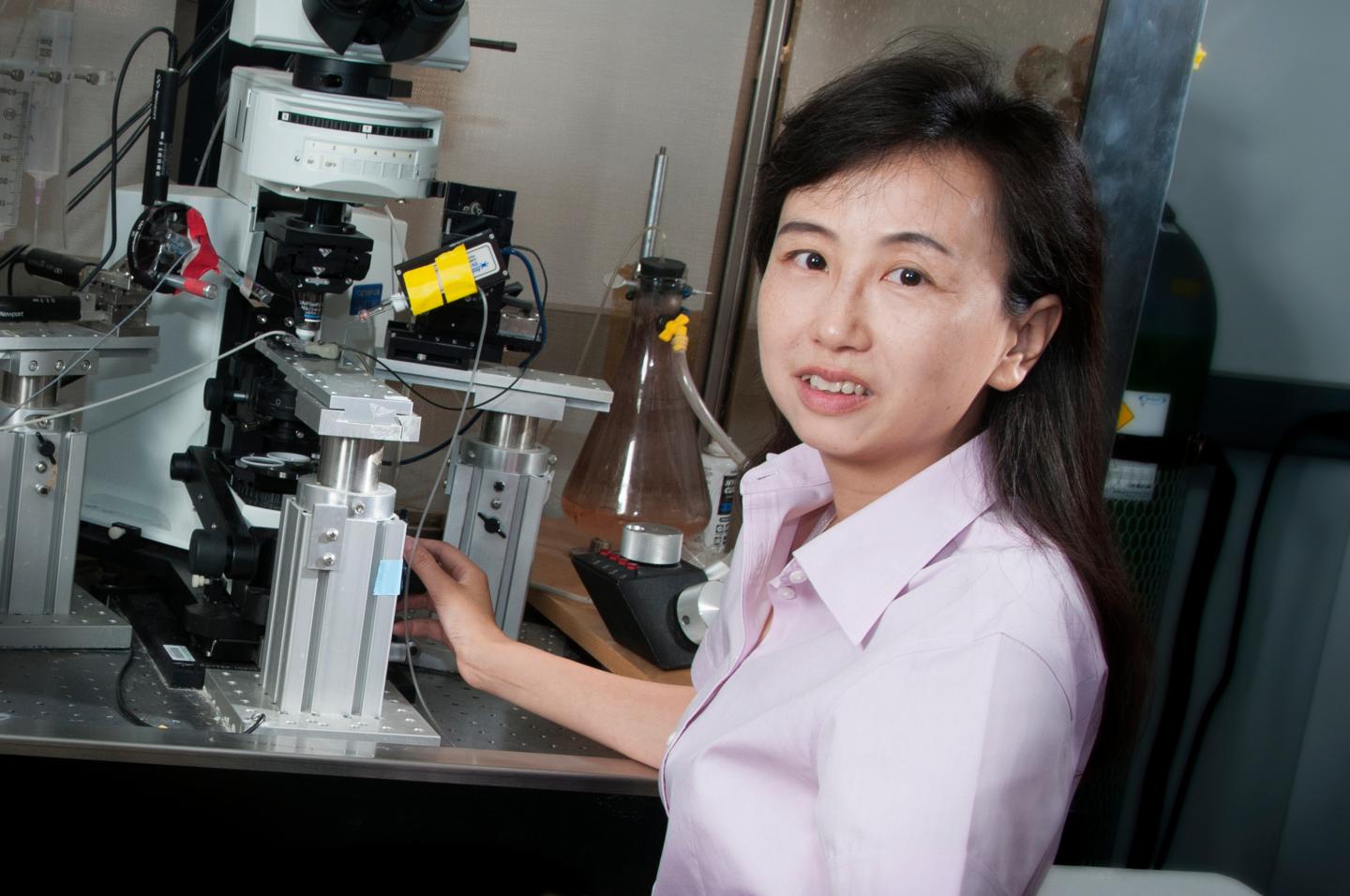Zhen Yan, University at Buffal [IMAGE] | EurekAlert! Science News Releases