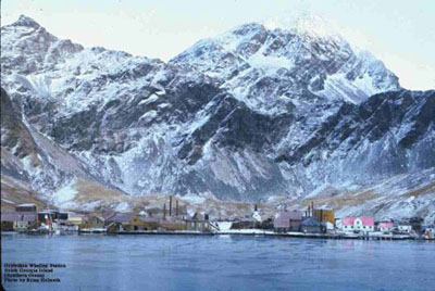 Antarctic | EurekAlert!