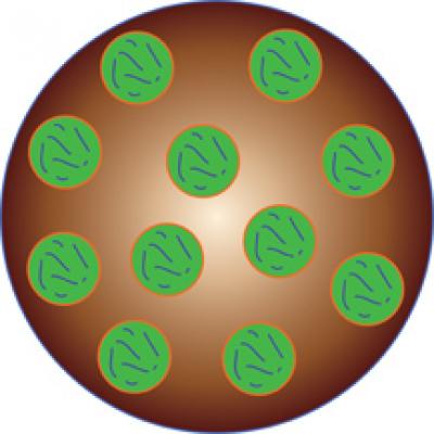 A Drug-Ladened Microparticle [IMAGE] | EurekAlert! Science News Releases