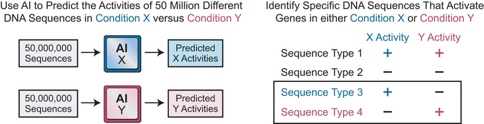 Comparing 50 million DNA seque [IMAGE] | EurekAlert! Science News Releases