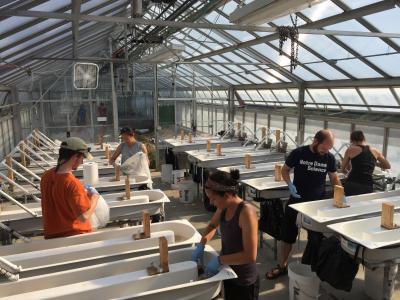 Artificial Stream Facility at [IMAGE] | EurekAlert! Science News Releases