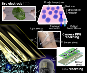 Measuring brain activity on the go | EurekAlert!