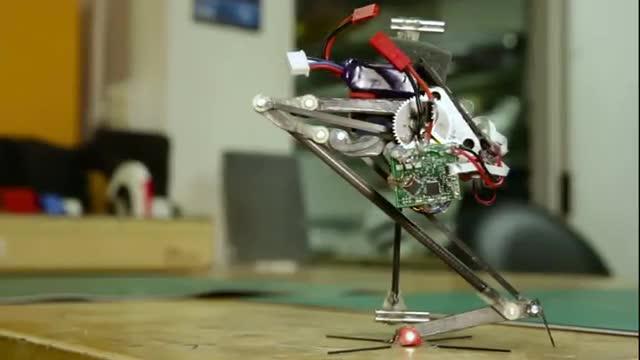 Wall-jumping robot is most vertically agile e | EurekAlert!