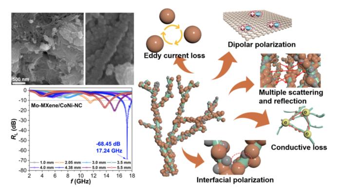SEM image, 2D RL curve, and EM [IMAGE] | EurekAlert! Science News Releases