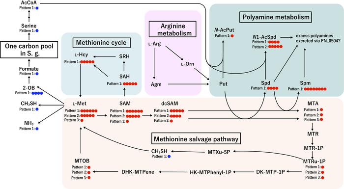 Fig.2 [IMAGE] | EurekAlert! Science News Releases