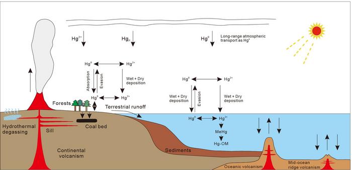 Schematic diagram illustrating [IMAGE] | EurekAlert! Science News Releases