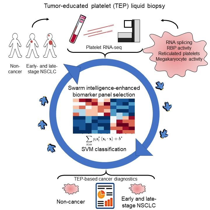 Blood biopsy test reads platelets to detect h | EurekAlert!