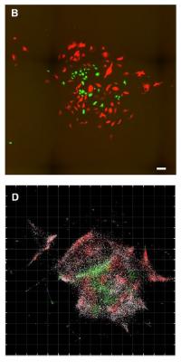 Researchers develop a new, non-optical way to | EurekAlert!