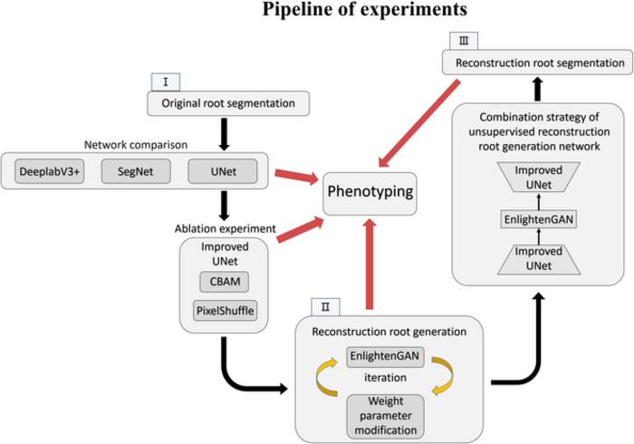 Revolutionizing root research: harnessing AI | EurekAlert!