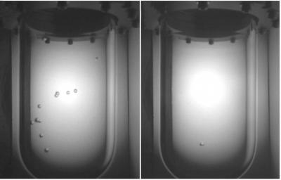 Bubble Chamber [IMAGE] | EurekAlert! Science News Releases